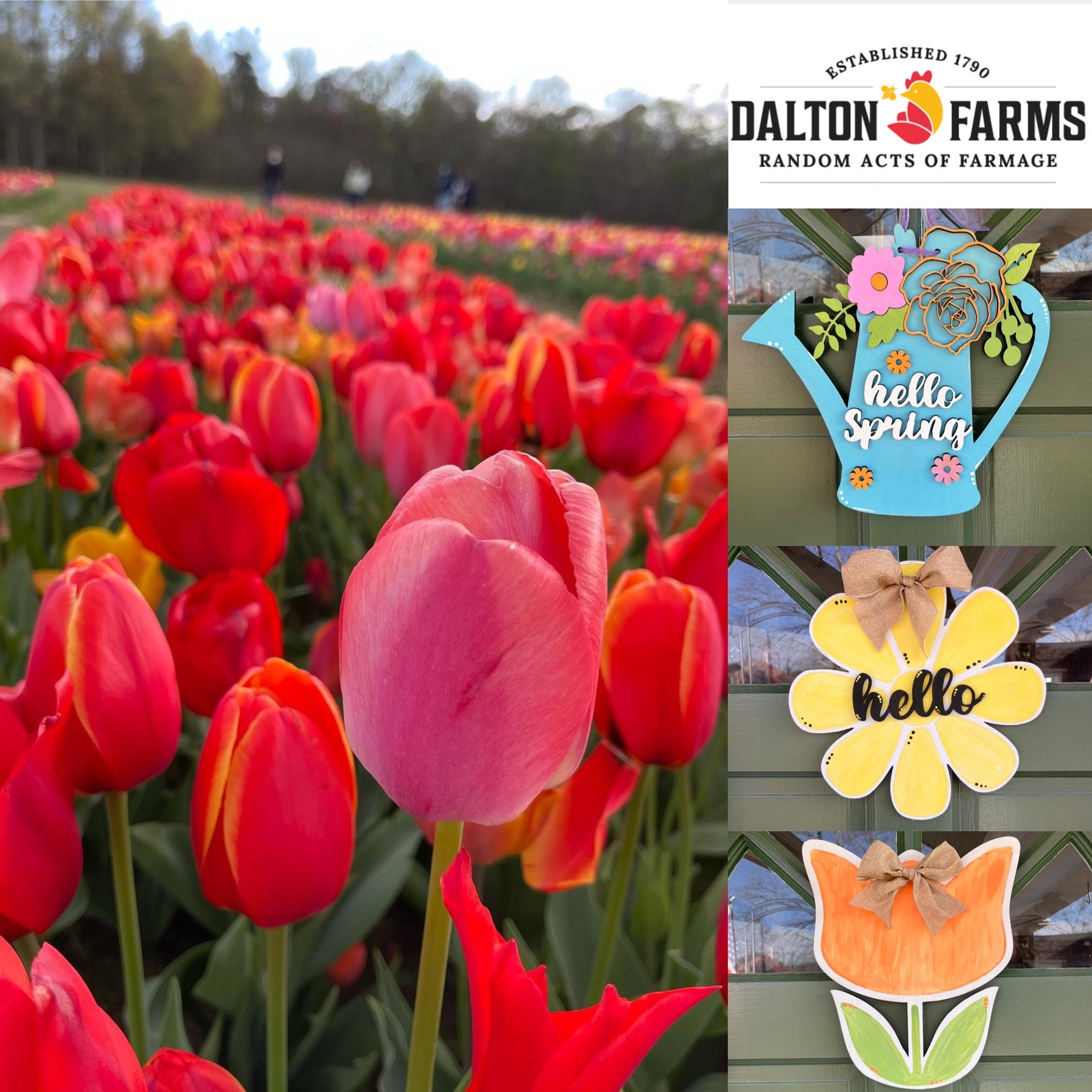 RAIN DATE ACTIVATED: Painting in the Tulips at Dalton Farms | Free Shop